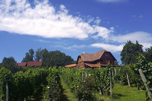 Visit Lekenik | Lekenik